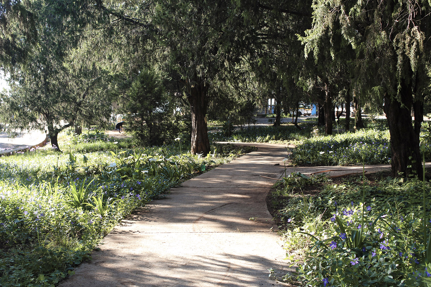 The Meles Zenawi Memorial Park by Studio Other Spaces - 谷德设计网