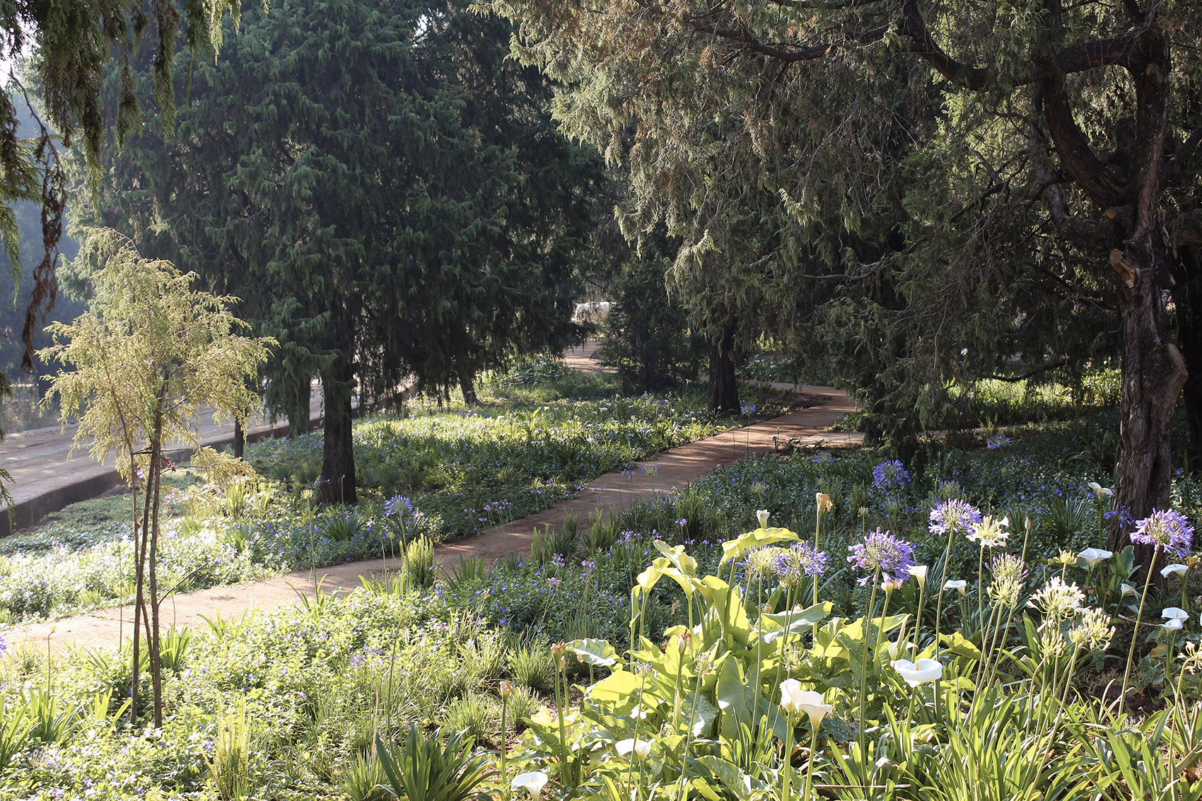 The Meles Zenawi Memorial Park by Studio Other Spaces - 谷德设计网