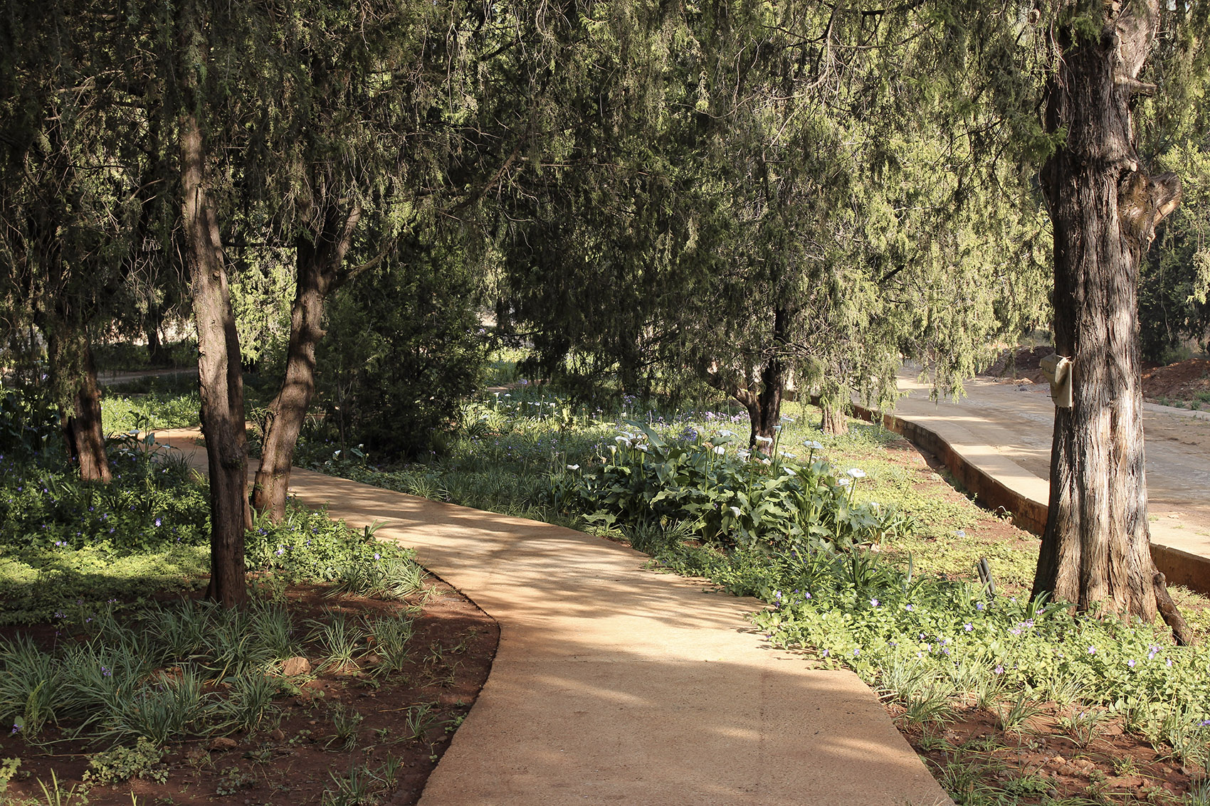 The Meles Zenawi Memorial Park by Studio Other Spaces - 谷德设计网