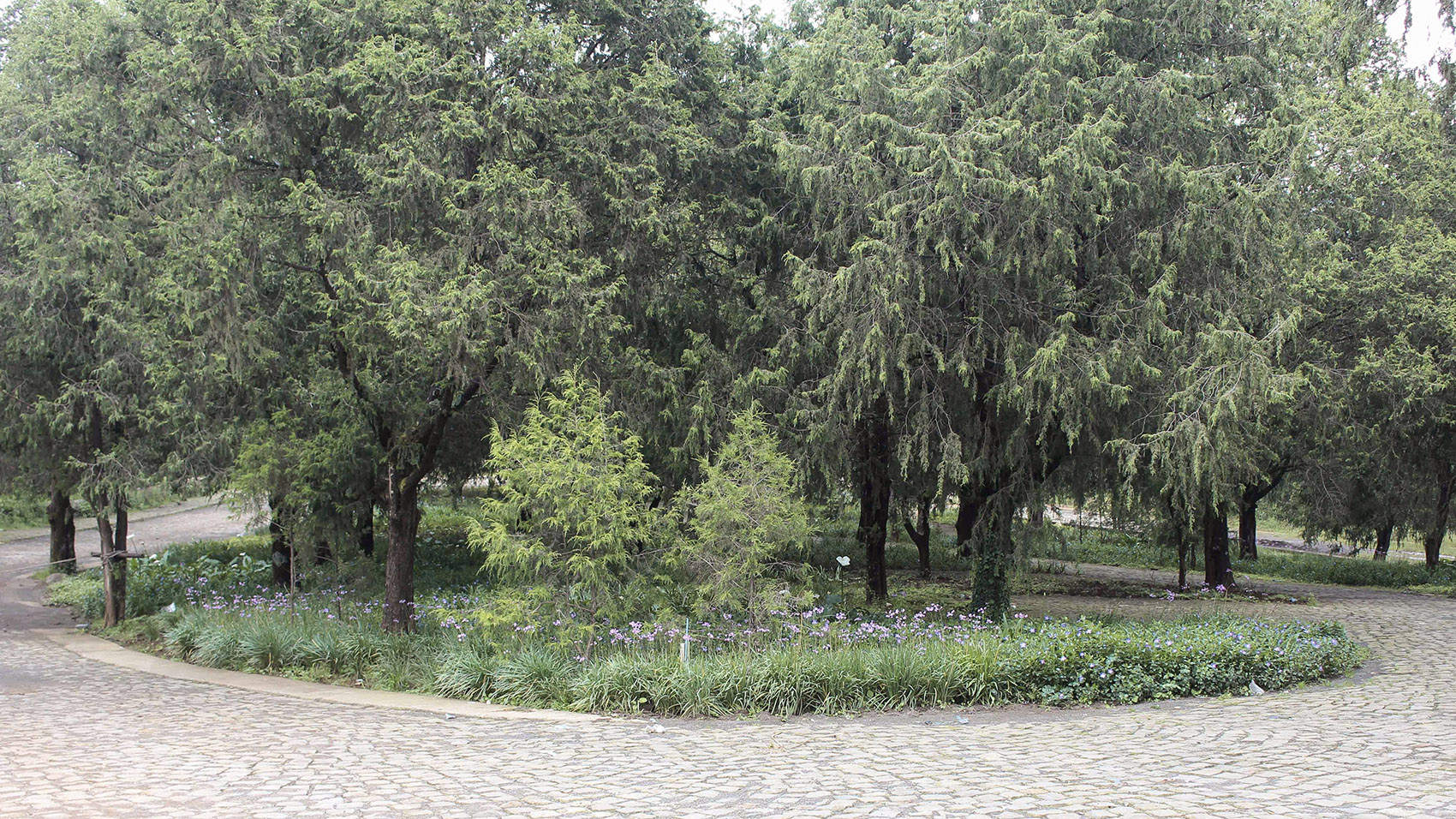 The Meles Zenawi Memorial Park by Studio Other Spaces - 谷德设计网