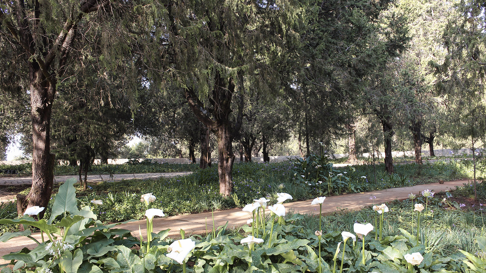 The Meles Zenawi Memorial Park by Studio Other Spaces - 谷德设计网