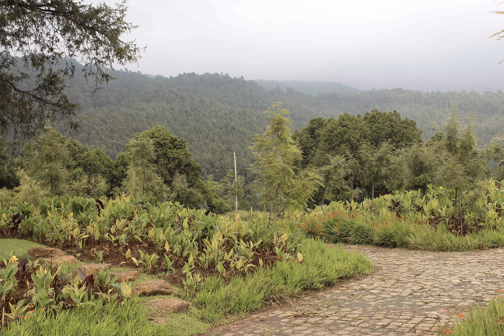 The Meles Zenawi Memorial Park by Studio Other Spaces - 谷德设计网