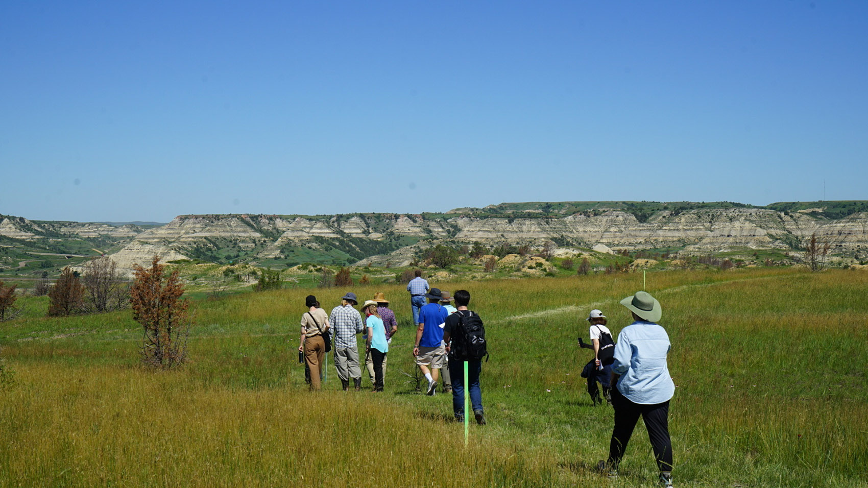 Overseas NO.119: Chao Li - 谷德设计网