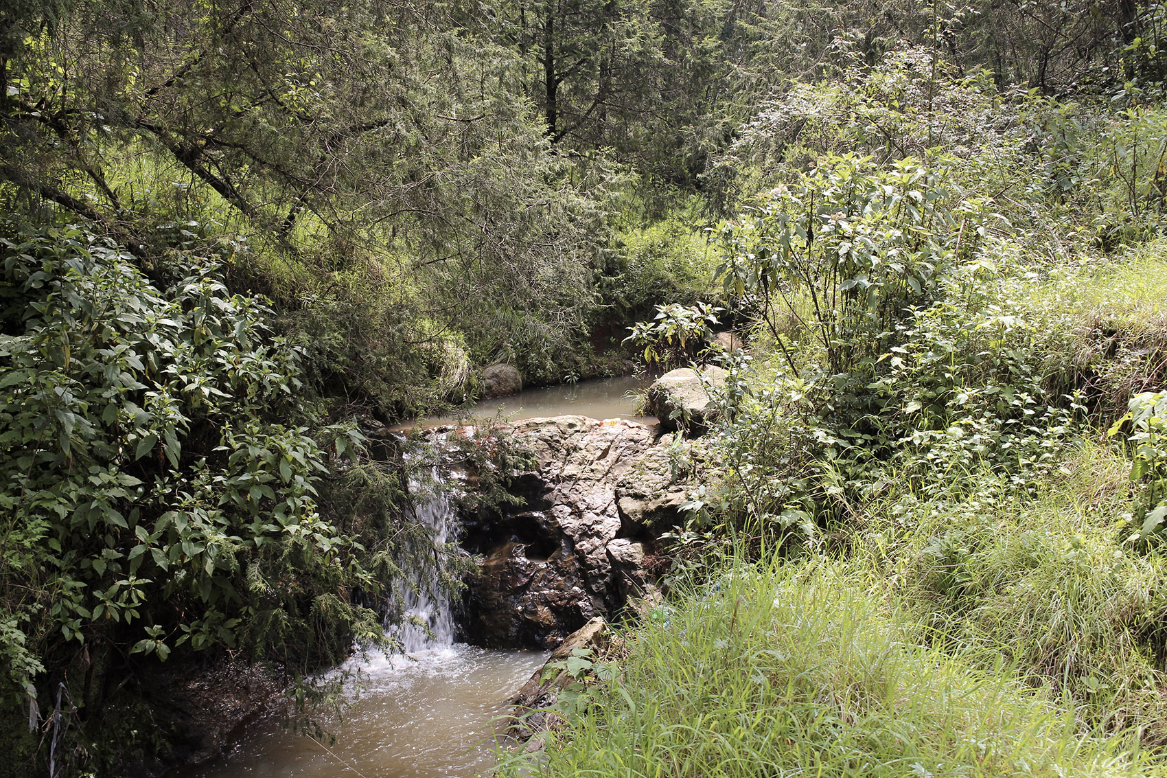 The Meles Zenawi Memorial Park by Studio Other Spaces - 谷德设计网