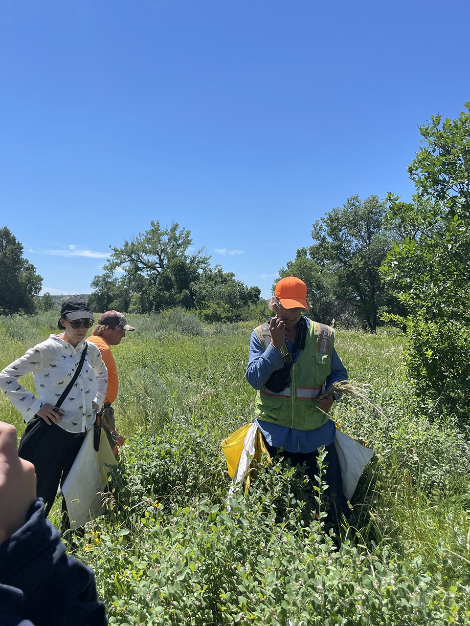 Overseas NO.119: Chao Li - 谷德设计网