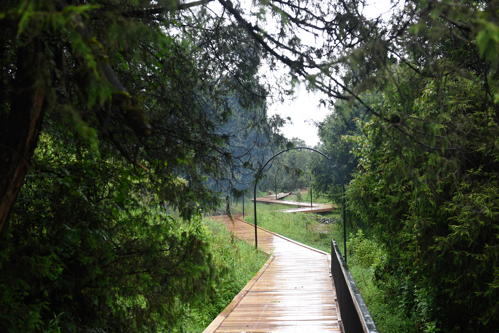 The Meles Zenawi Memorial Park by Studio Other Spaces - 谷德设计网