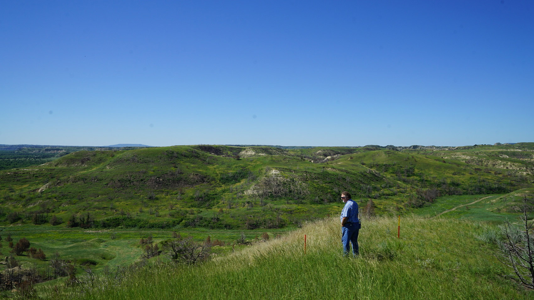 Overseas NO.119: Chao Li - 谷德设计网