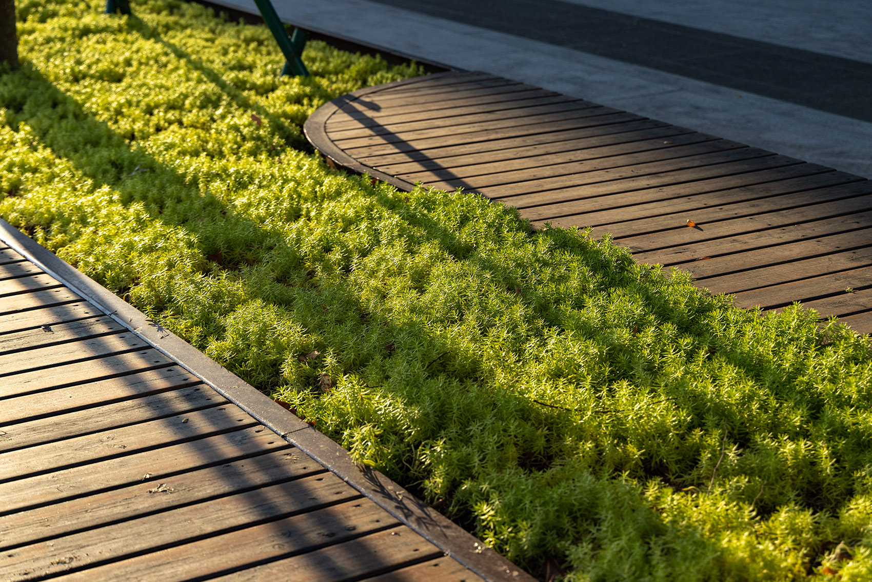 North Office Park of Zhejiang University International Campus in ...