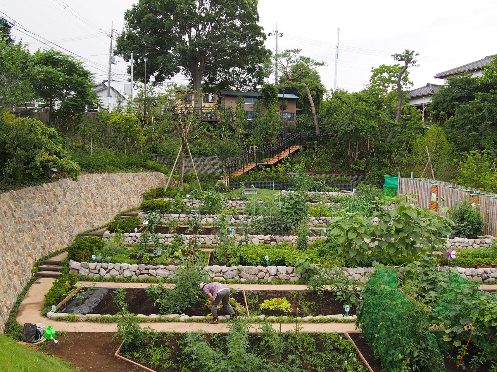 Minami Honjyuku 3rd Park by Yoshiki Toda Landscape & Architecture - 谷德设计网