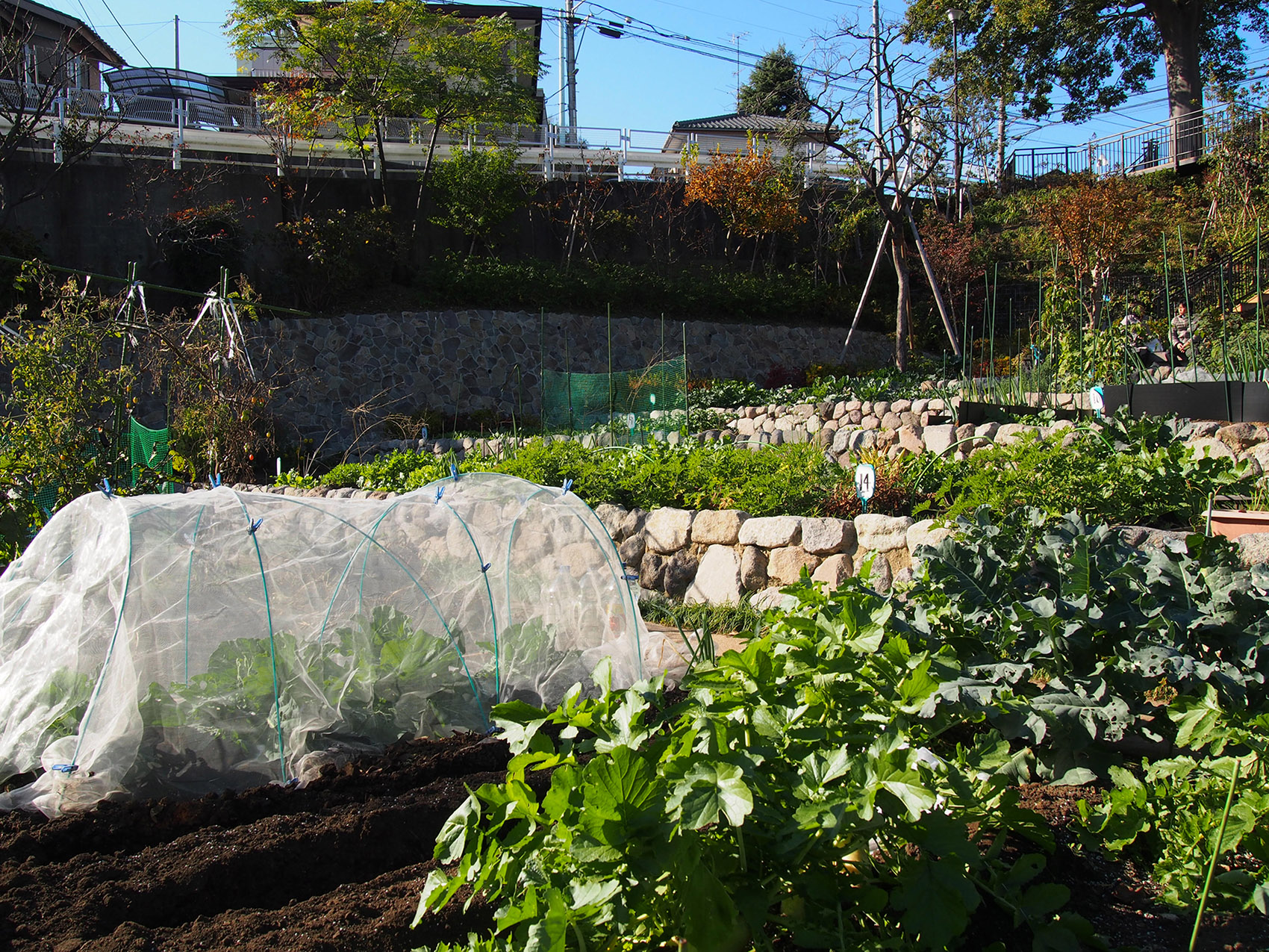 Minami Honjyuku 3rd Park by Yoshiki Toda Landscape & Architecture - 谷德设计网