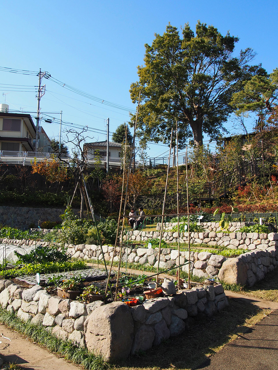 Minami Honjyuku 3rd Park by Yoshiki Toda Landscape & Architecture - 谷德设计网