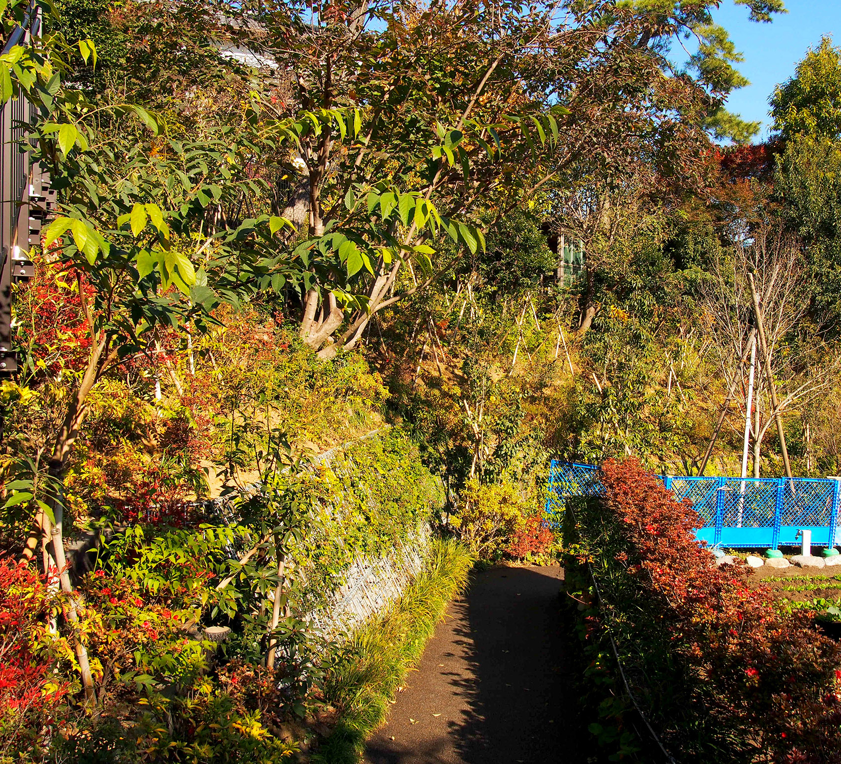 Minami Honjyuku 3rd Park by Yoshiki Toda Landscape & Architecture - 谷德设计网