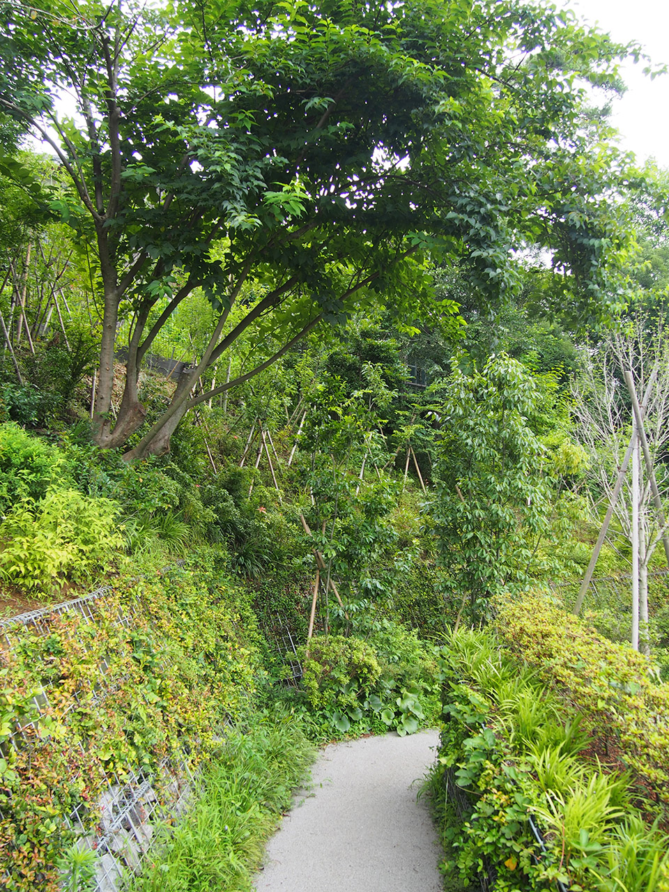 Minami Honjyuku 3rd Park by Yoshiki Toda Landscape & Architecture - 谷德设计网