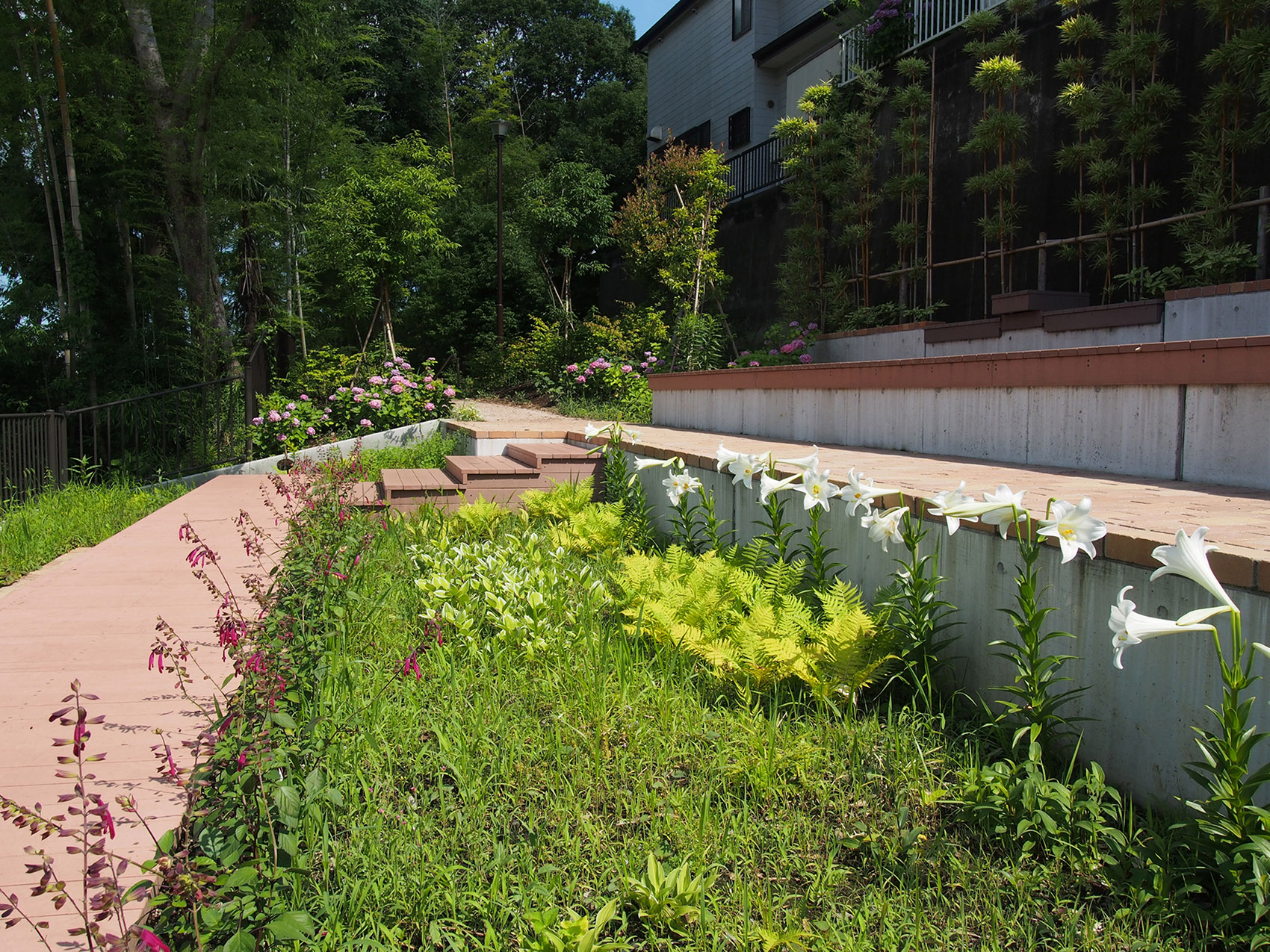 Minami Honjyuku 3rd Park by Yoshiki Toda Landscape & Architecture - 谷德设计网