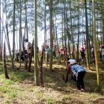 Minami Honjyuku 3rd Park by Yoshiki Toda Landscape & Architecture - 谷德设计网