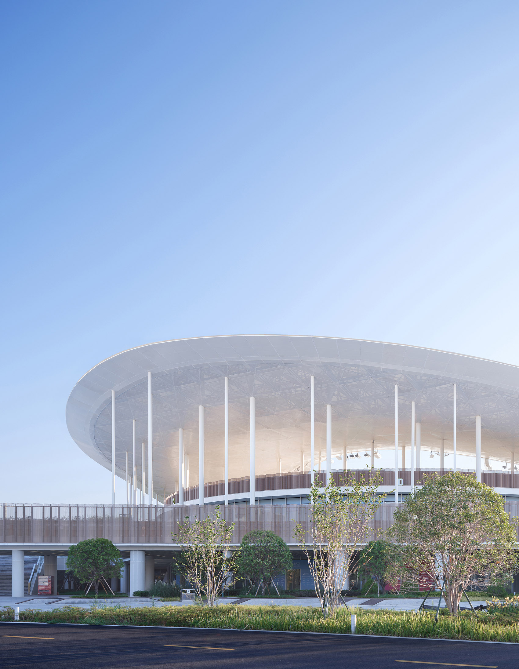 WINGS OF CLOUD: The Hangzhou Asian Games Baseball and Softball Sports ...