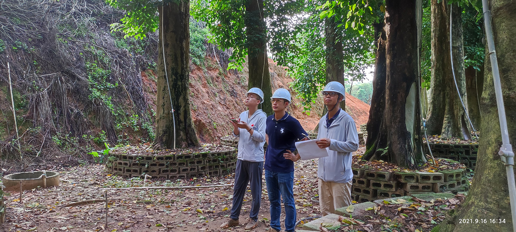 Millennium ancient tree garden of Kaisen· the Mysterious Forest by Yoshiki Toda Landscape ...