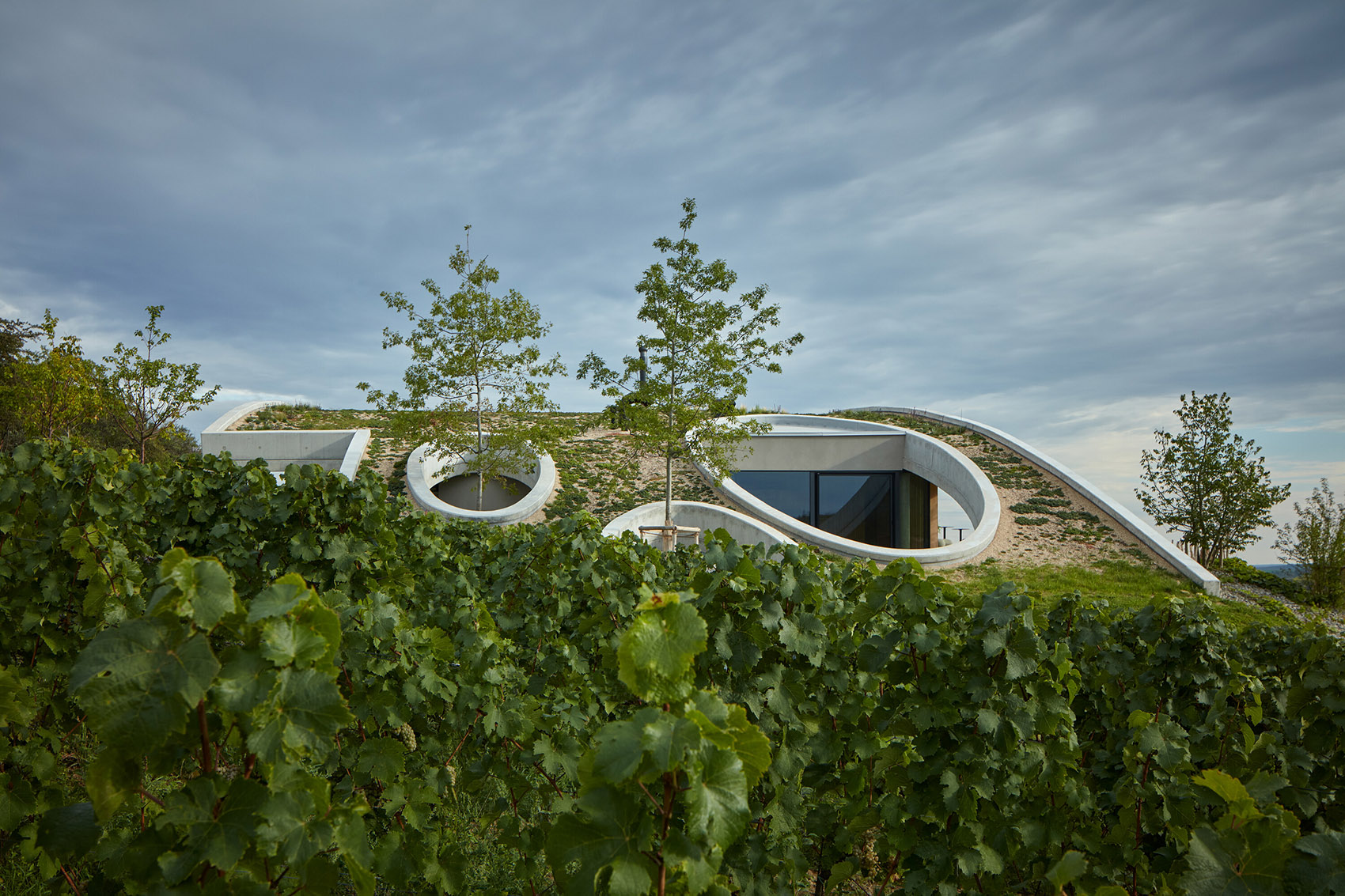 Gurdau Winery by Aleš Fiala - 谷德设计网