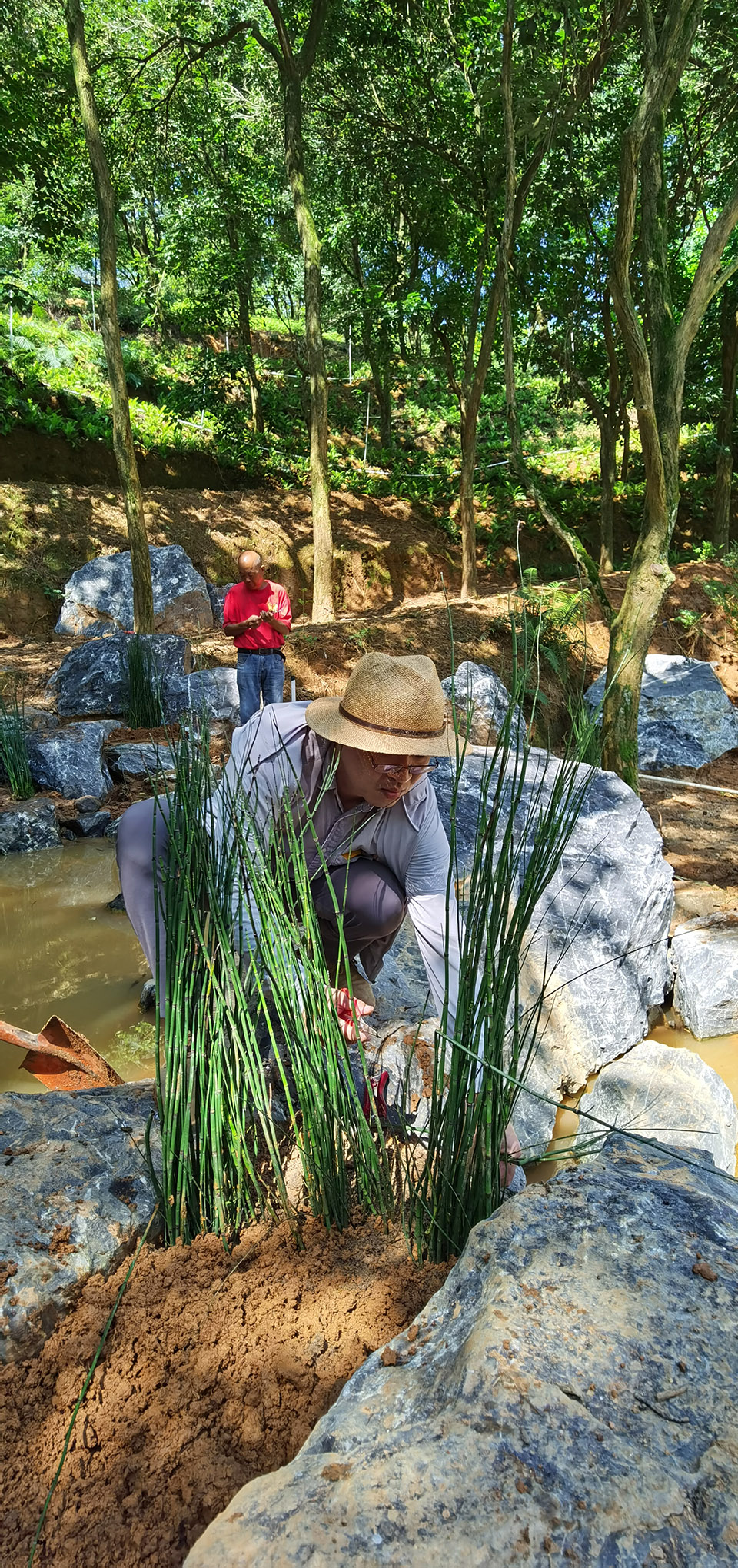 Millennium ancient tree garden of Kaisen· the Mysterious Forest by Yoshiki Toda Landscape ...