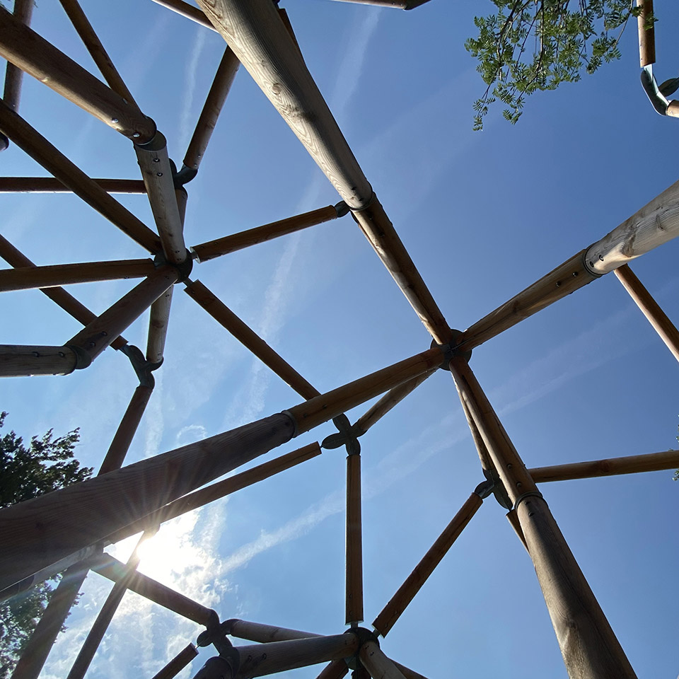 Rebirth of the Dancing Forest by Rocco Design Architects - 谷德设计网