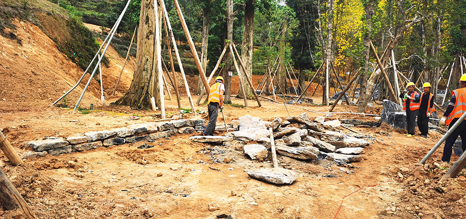 Millennium ancient tree garden of Kaisen· the Mysterious Forest by Yoshiki Toda Landscape ...