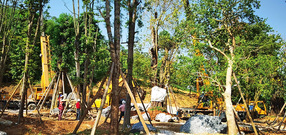Millennium ancient tree garden of Kaisen· the Mysterious Forest by Yoshiki Toda Landscape ...
