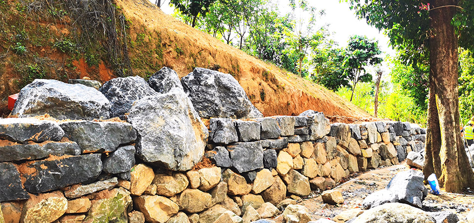 Millennium ancient tree garden of Kaisen· the Mysterious Forest by Yoshiki Toda Landscape ...