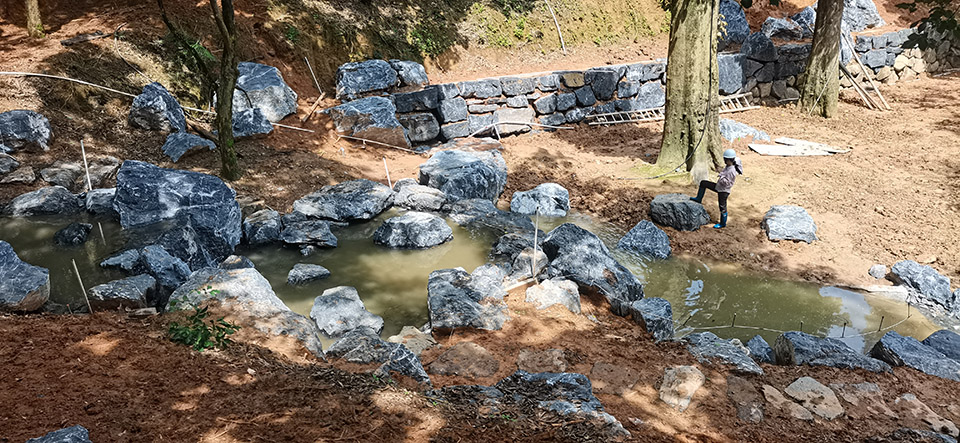 Millennium ancient tree garden of Kaisen· the Mysterious Forest by Yoshiki Toda Landscape ...