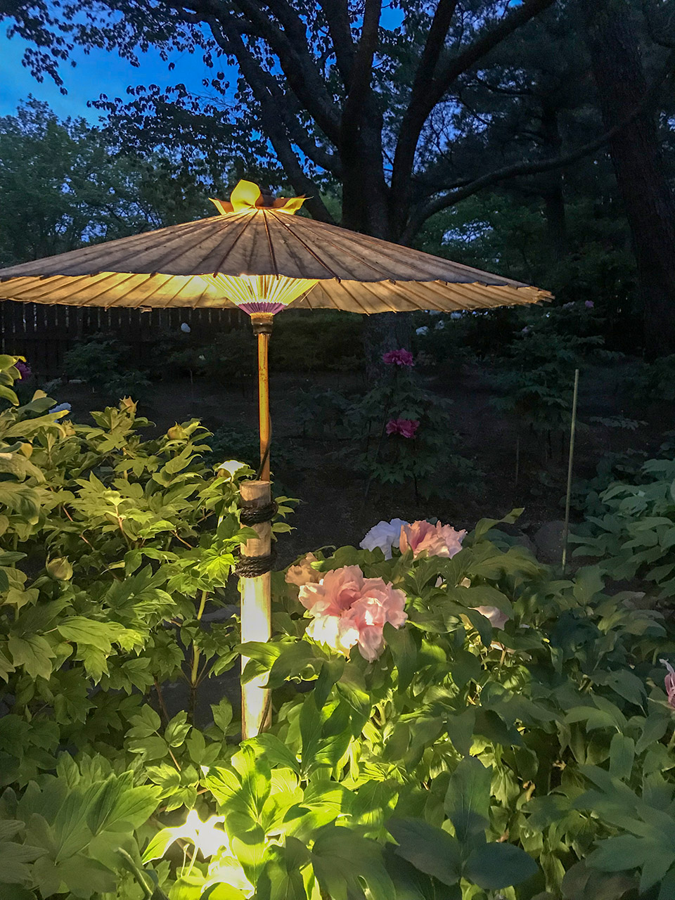 Peony Garden of Tokiwa Park by Yoshiki Toda Landscape & Architecture - 谷德设计网