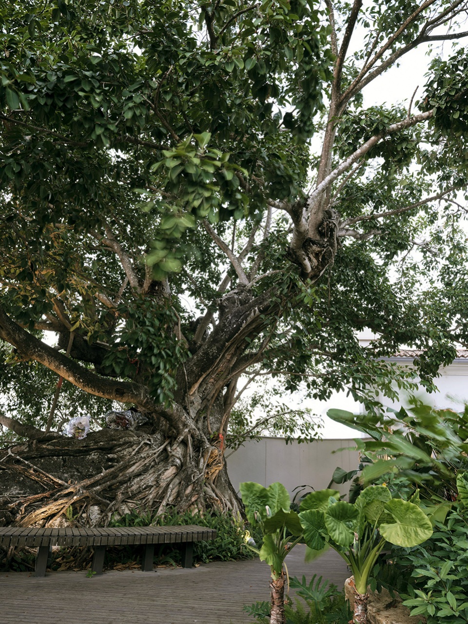 Aranya Sanya South Garden by Z’scape - 谷德设计网