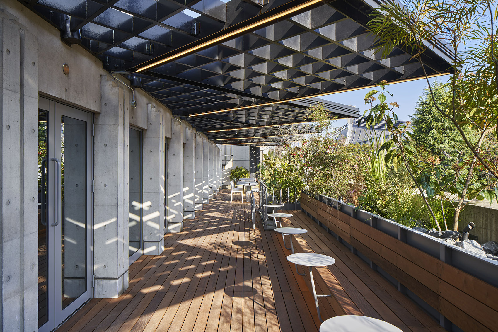 Kuwasawa Design School new educational facility by moss. - 谷德设计网