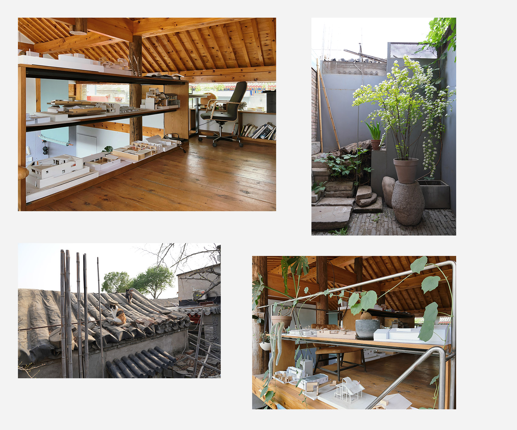 Special Interview for DL Atelier’s First Decade - 谷德设计网