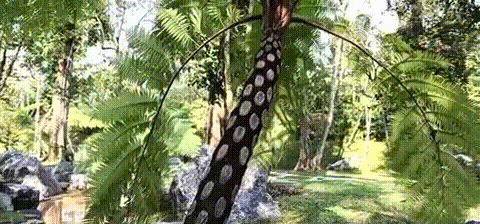 Millennium ancient tree garden of Kaisen· the Mysterious Forest by Yoshiki Toda Landscape ...