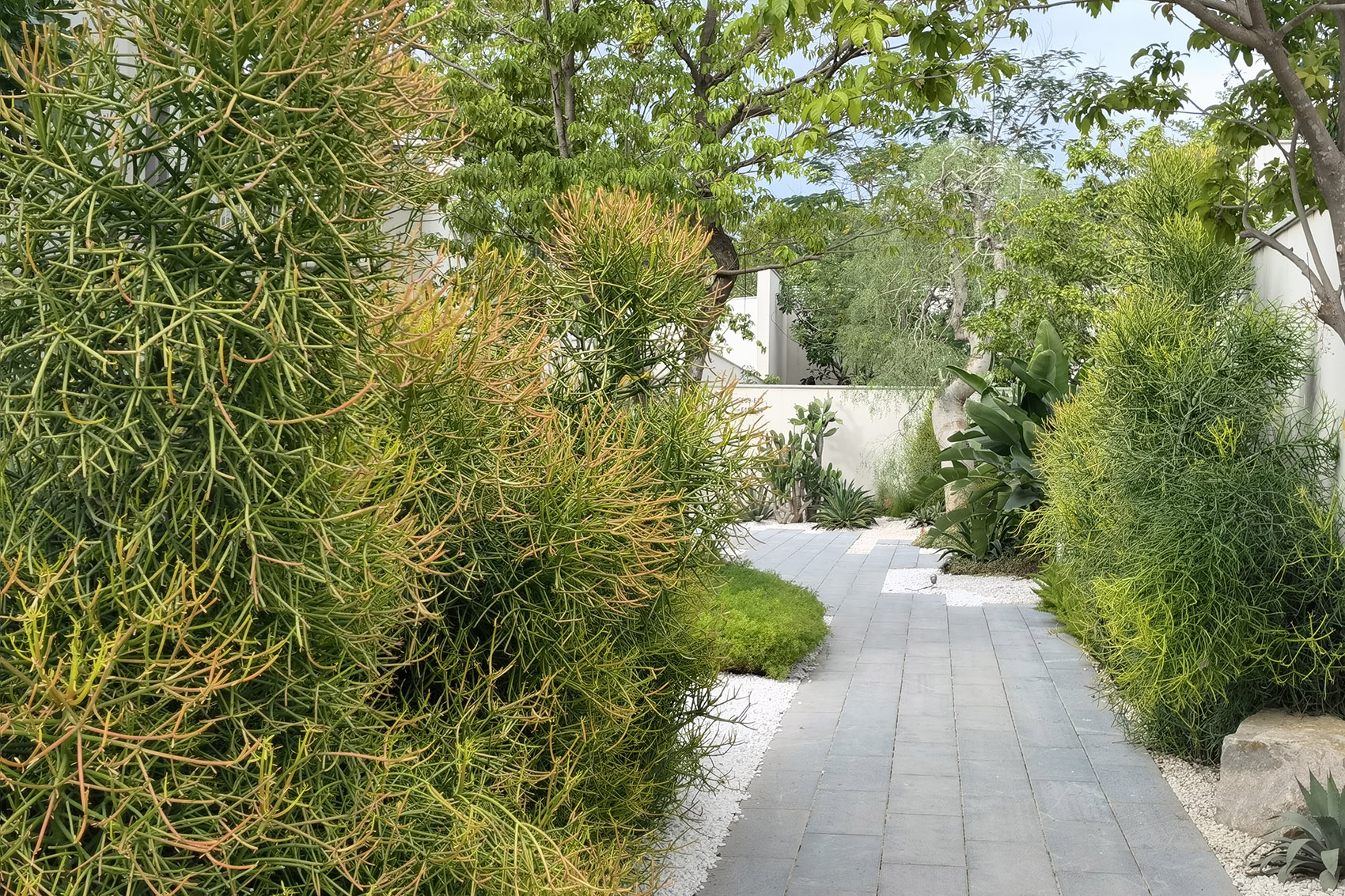 Aranya Sanya South Garden by Z’scape - 谷德设计网