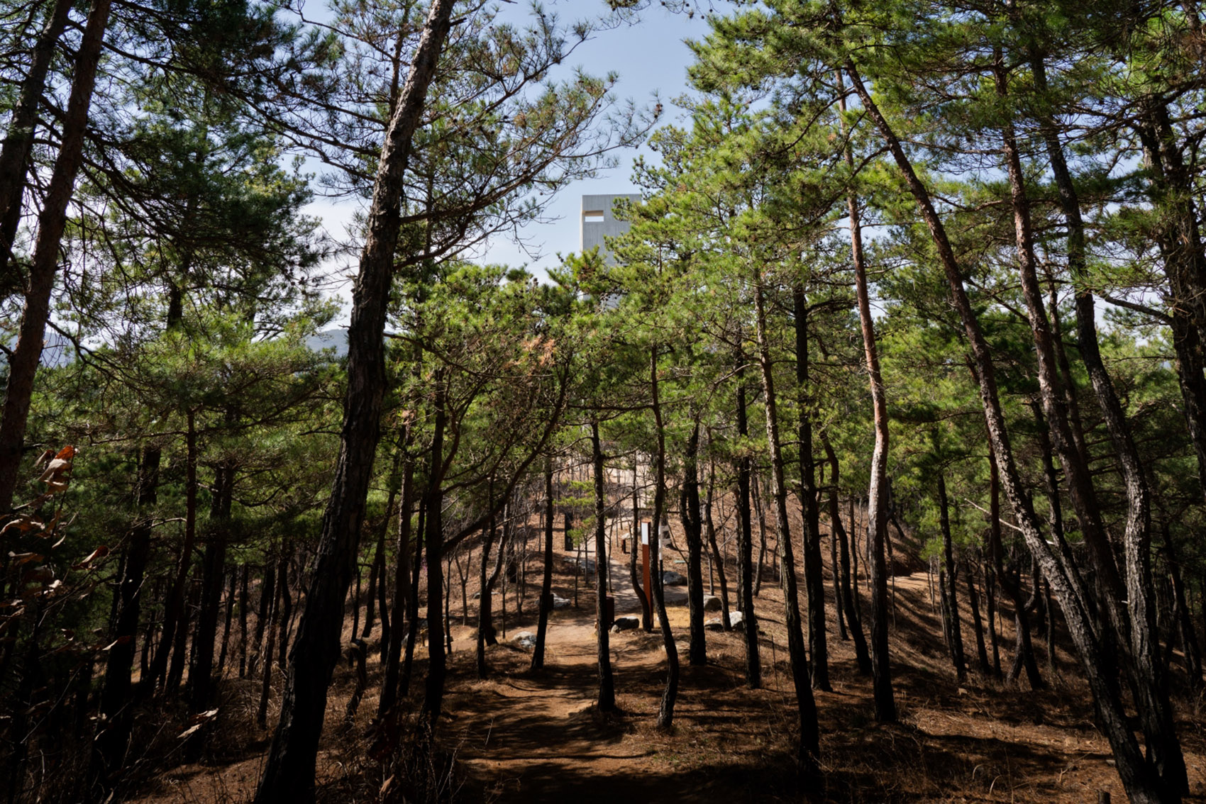 Sayuwon park pavilions by Alvaro Siza, Photography by William Mulvihill ...