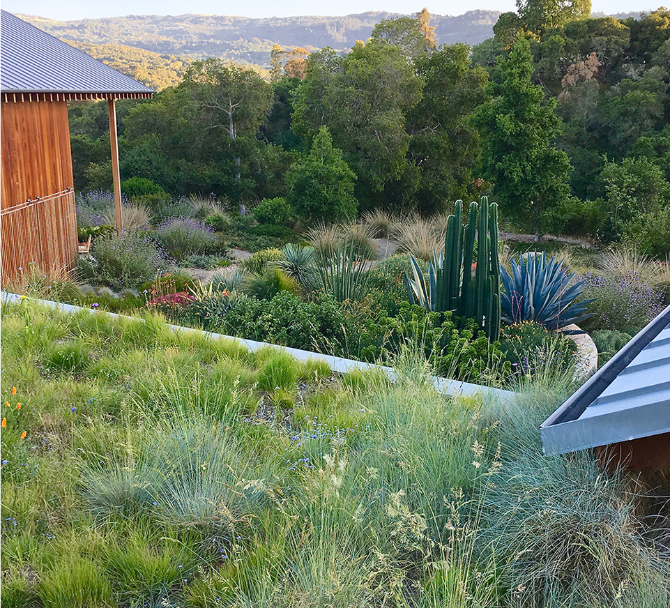 2022 ASLA RESIDENTIAL DESIGN AWARD OF HONOR: Coast Ridge Residence ...