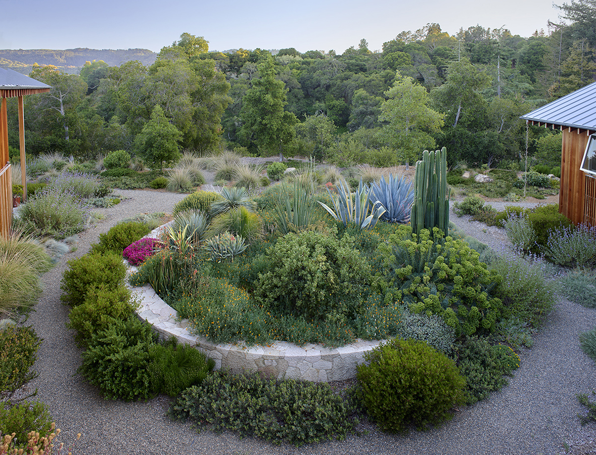 2022 ASLA RESIDENTIAL DESIGN AWARD OF HONOR: Coast Ridge Residence ...