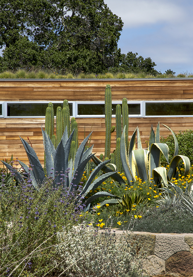 2022 ASLA RESIDENTIAL DESIGN AWARD OF HONOR: Coast Ridge Residence ...