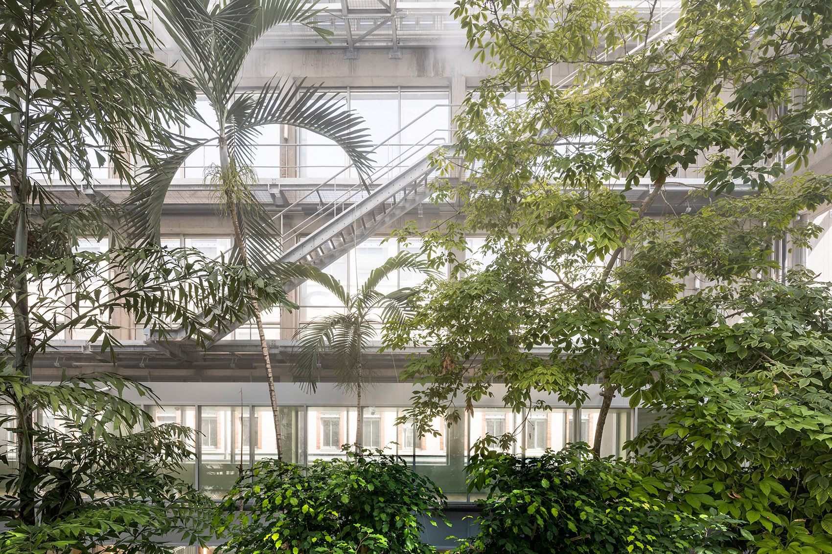 The Canopy – Michelin Headquarter’s Renovated Reception Area by Encore ...