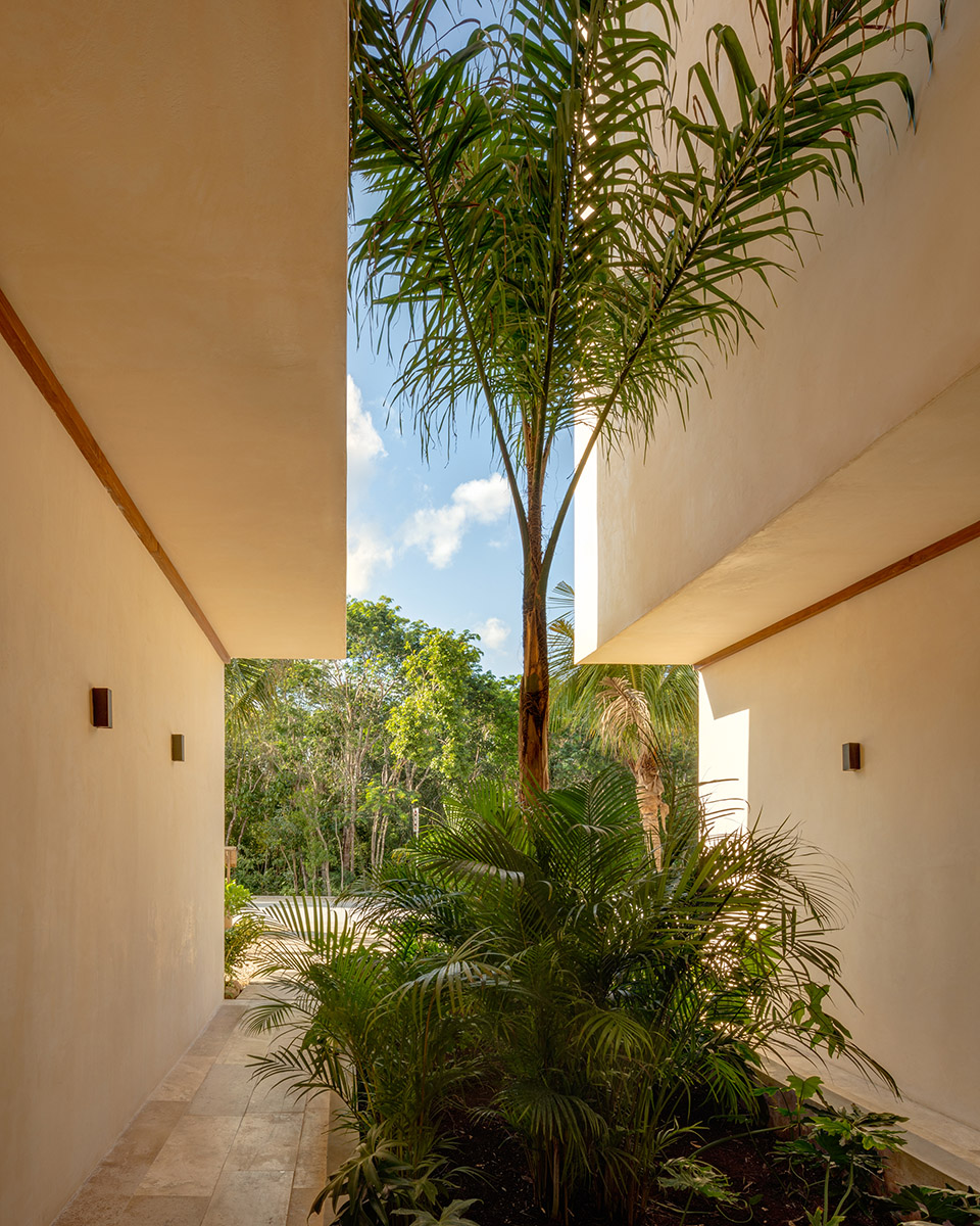 BAI-HA by PPAA - 谷德设计网