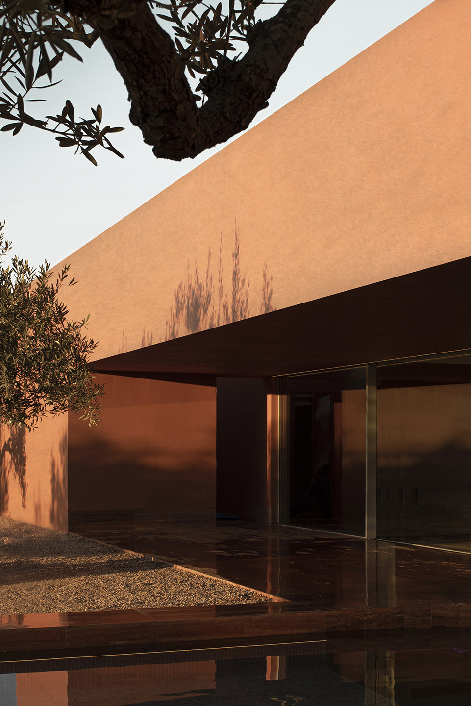 The Olive Grove House by Balzar Arquitectos - 谷德设计网