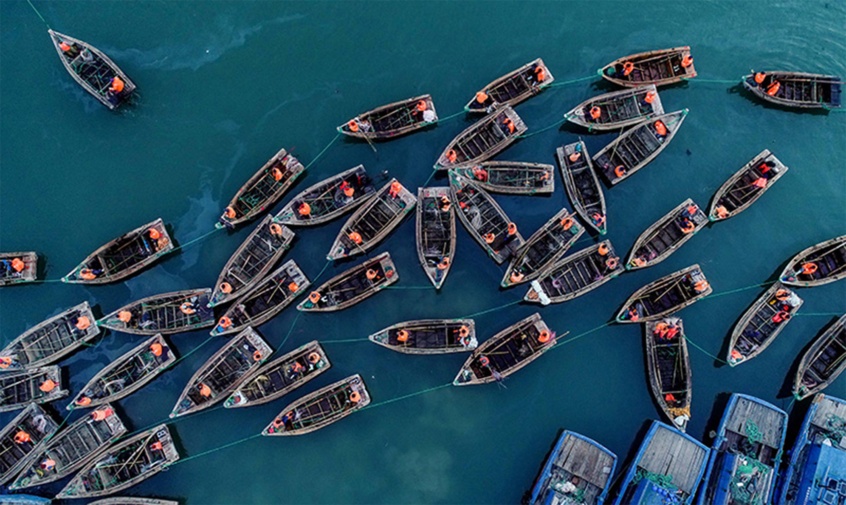 Shenzhen International Fisheries & Seafood Expo Fisheries Development ...