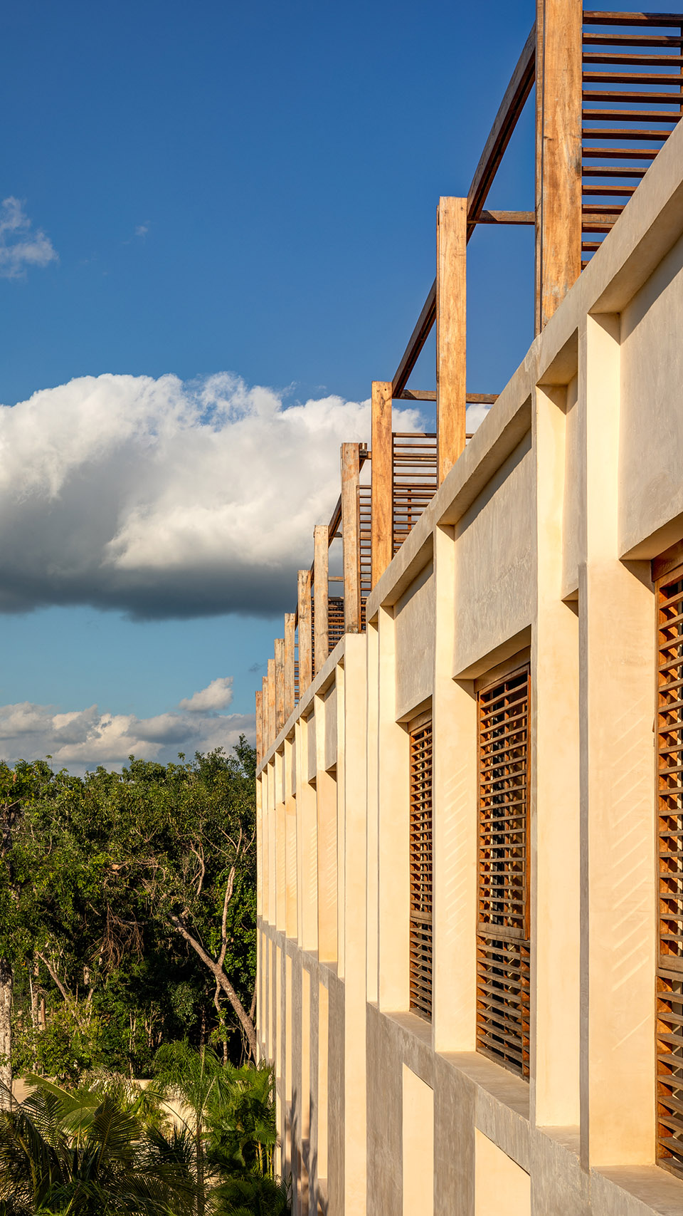 BAI-HA by PPAA - 谷德设计网