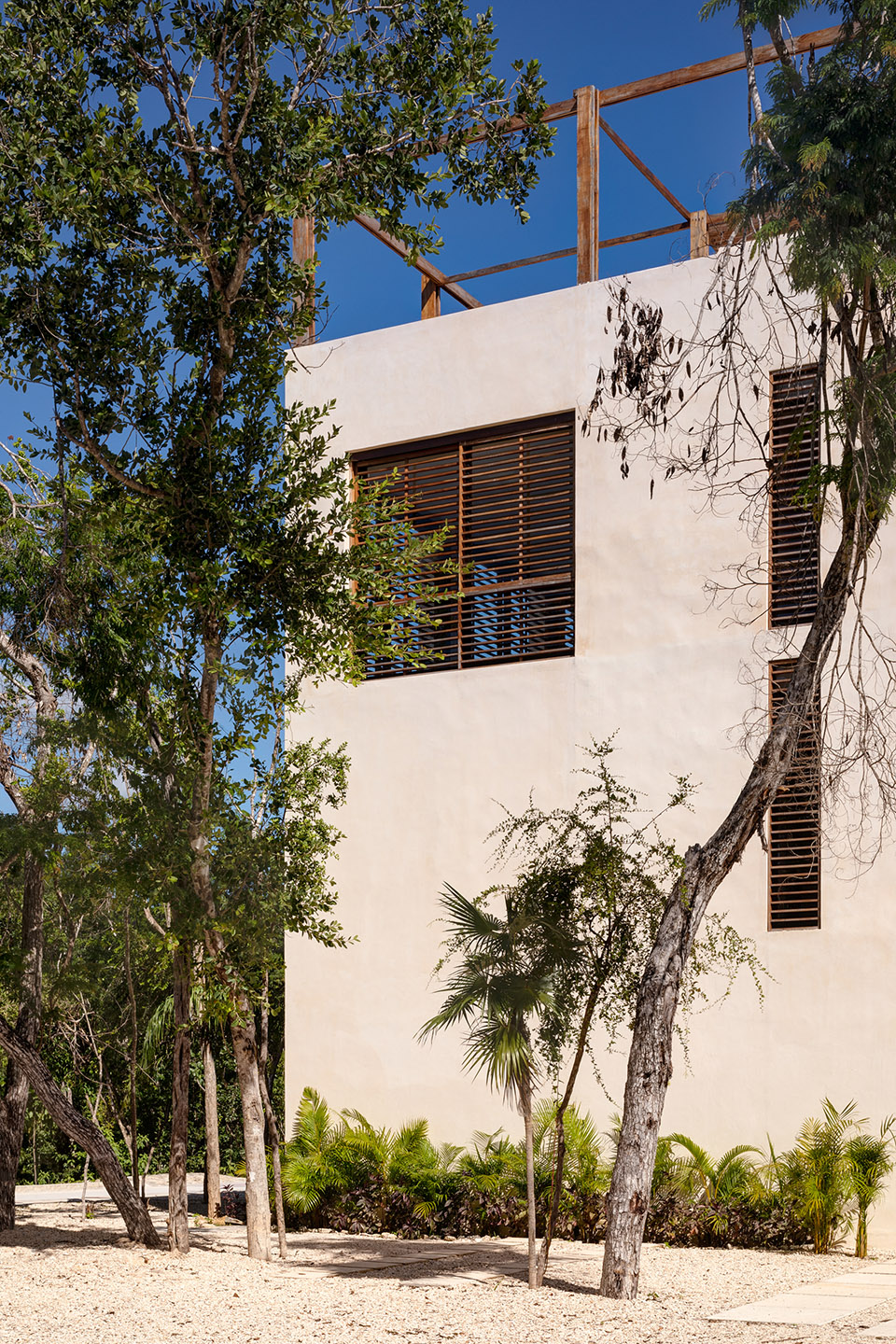 BAI-HA by PPAA - 谷德设计网