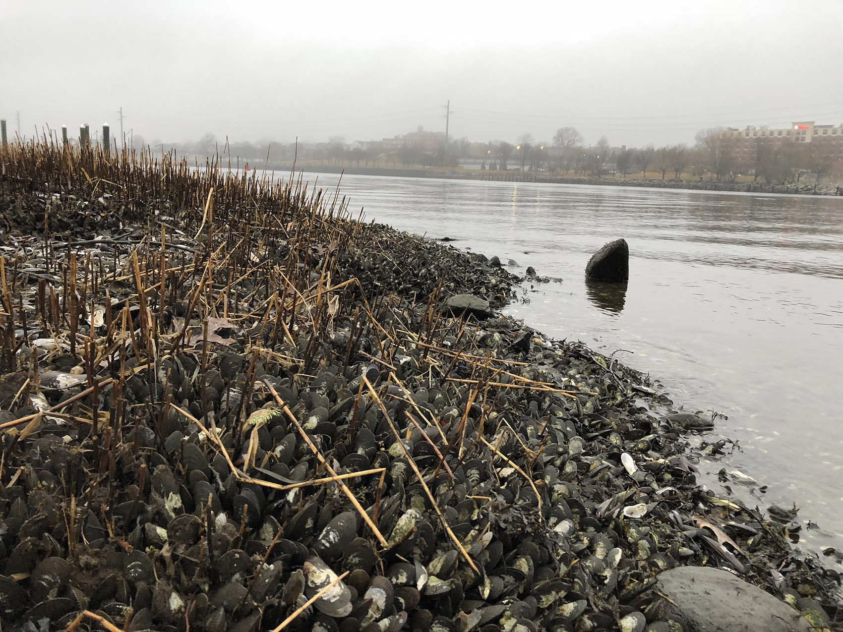 Overseas NO.121: Sirui Li - 谷德设计网