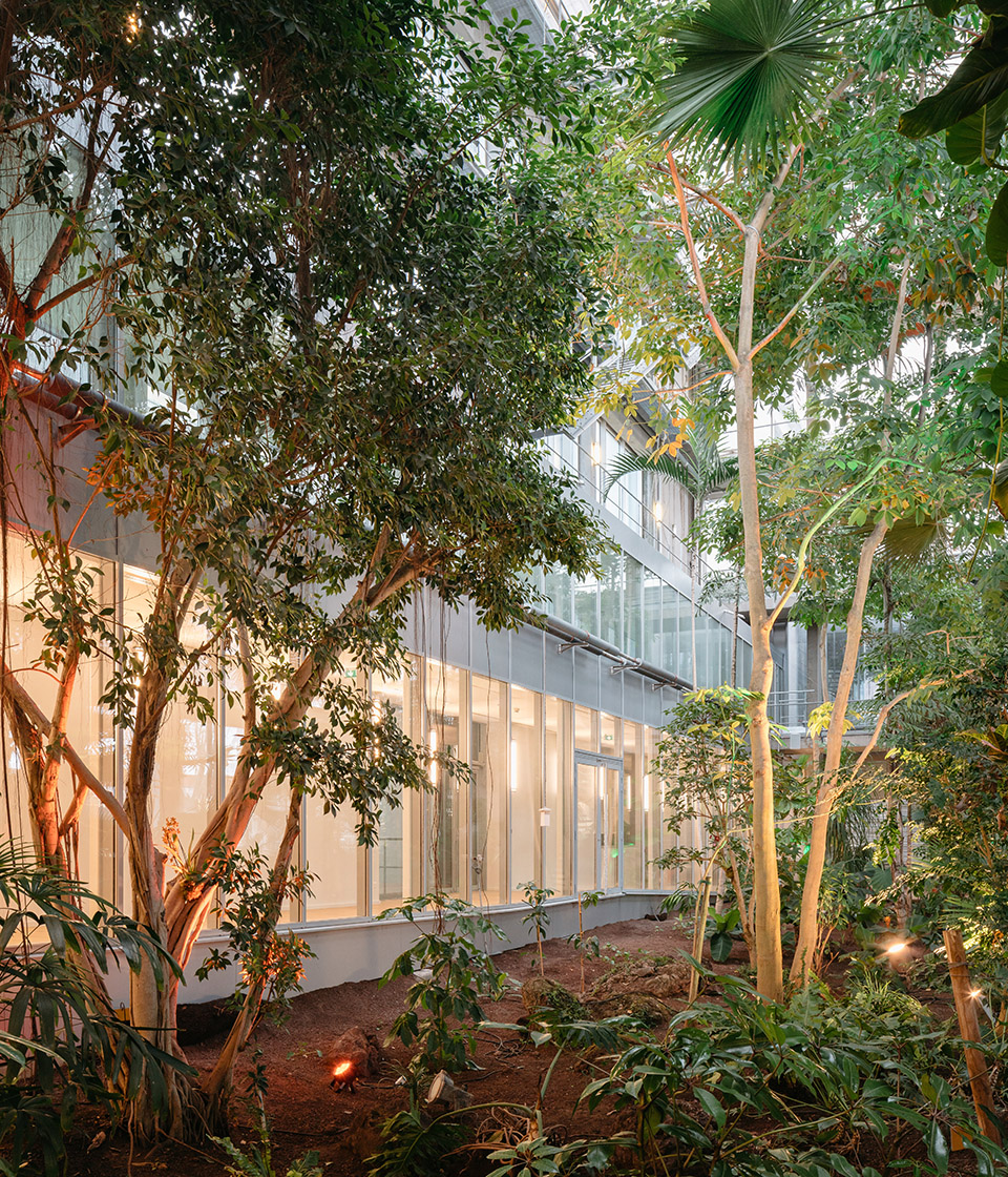 Canopy – 米其林总部接待区改造，法国 / Encore Heureux Architectes + CONSTRUIRE + BASE ...