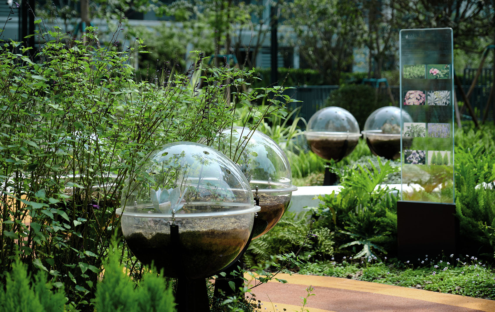 Dowell Group • Future Impression, Chongqing by SED Landscape Architects ...