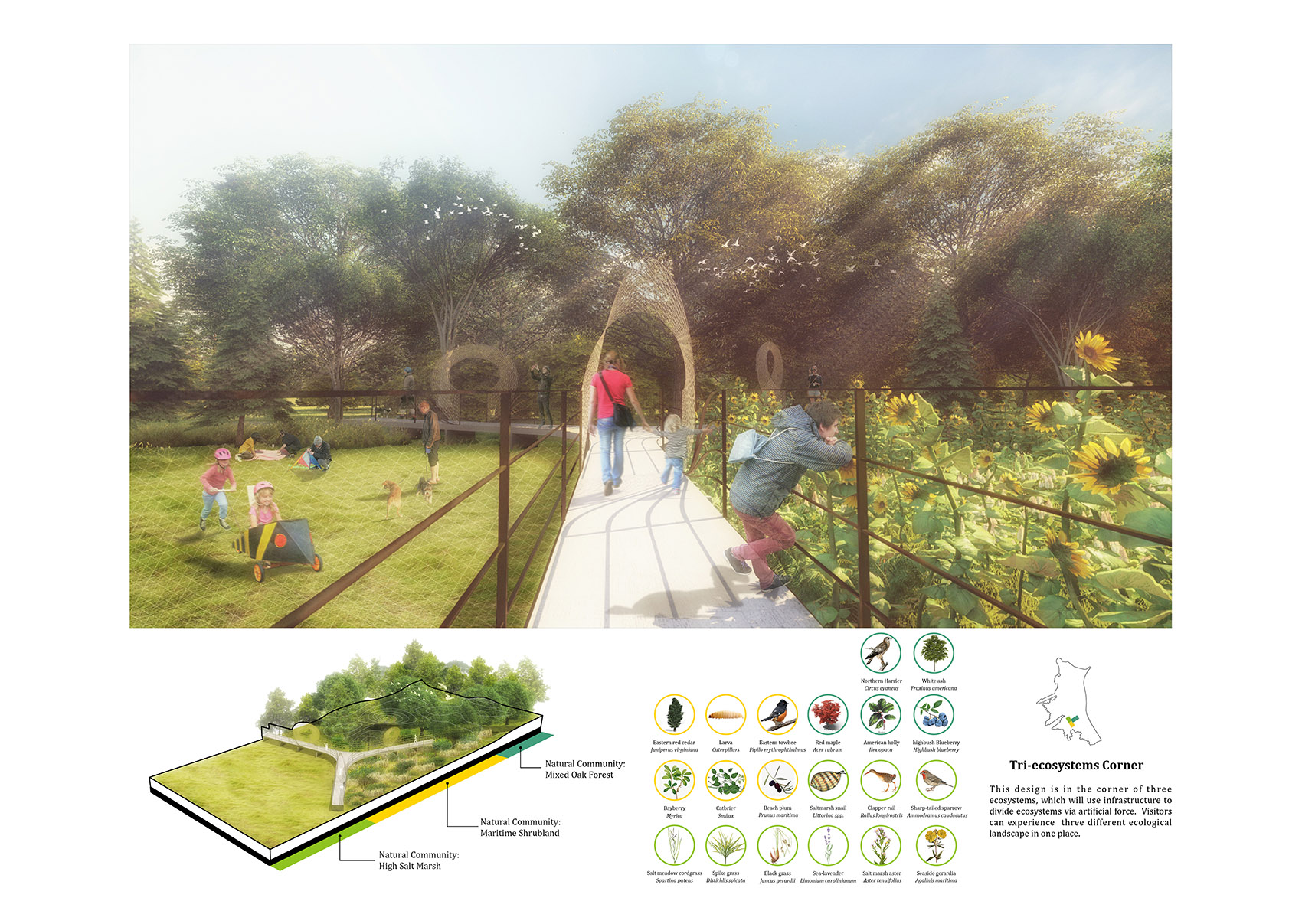 Overseas NO.121: Sirui Li - 谷德设计网