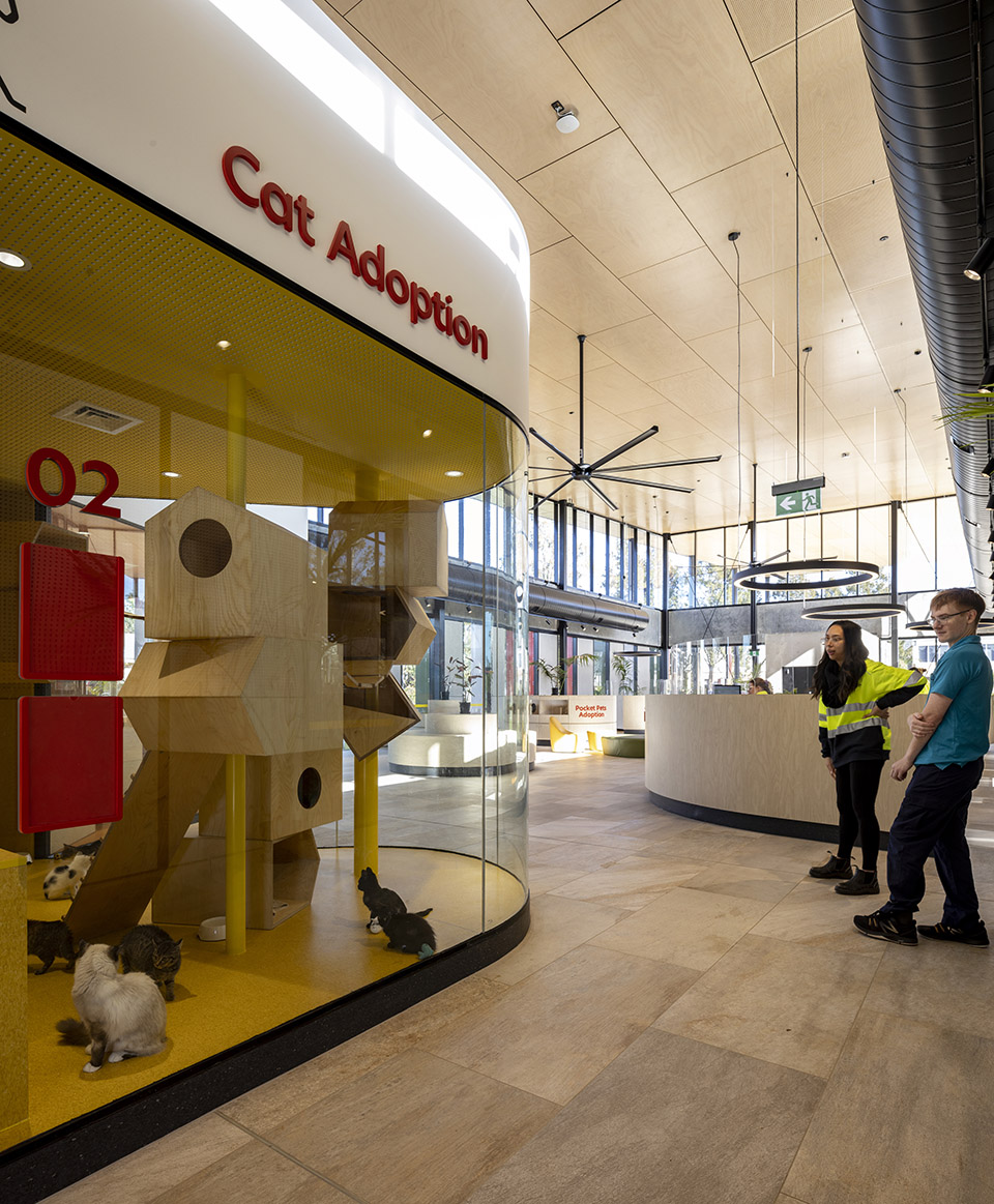 Blacktown Animal Rehoming Centre (BARC) by Sam Crawford Architects - 谷德设计网