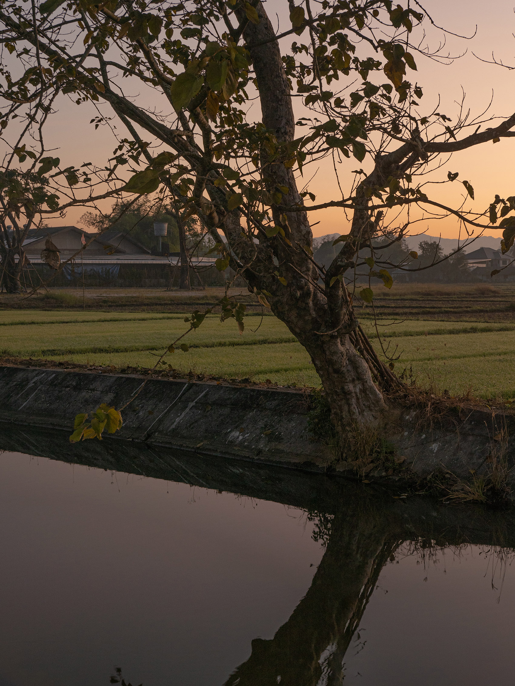 Moonler by Sher Maker - 谷德设计网